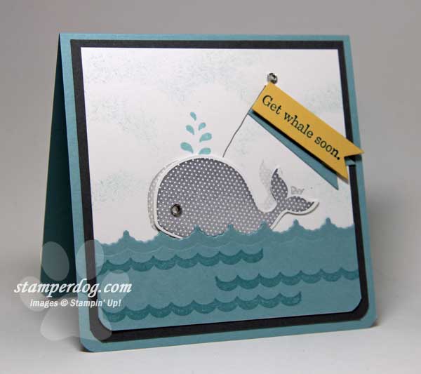 Get Well Soon Card Stampin Up Demo Ann M Clemmer Stamper Dog Get Well Soon Card Stampin Up Demo Ann M Clemmer Stamper Dog